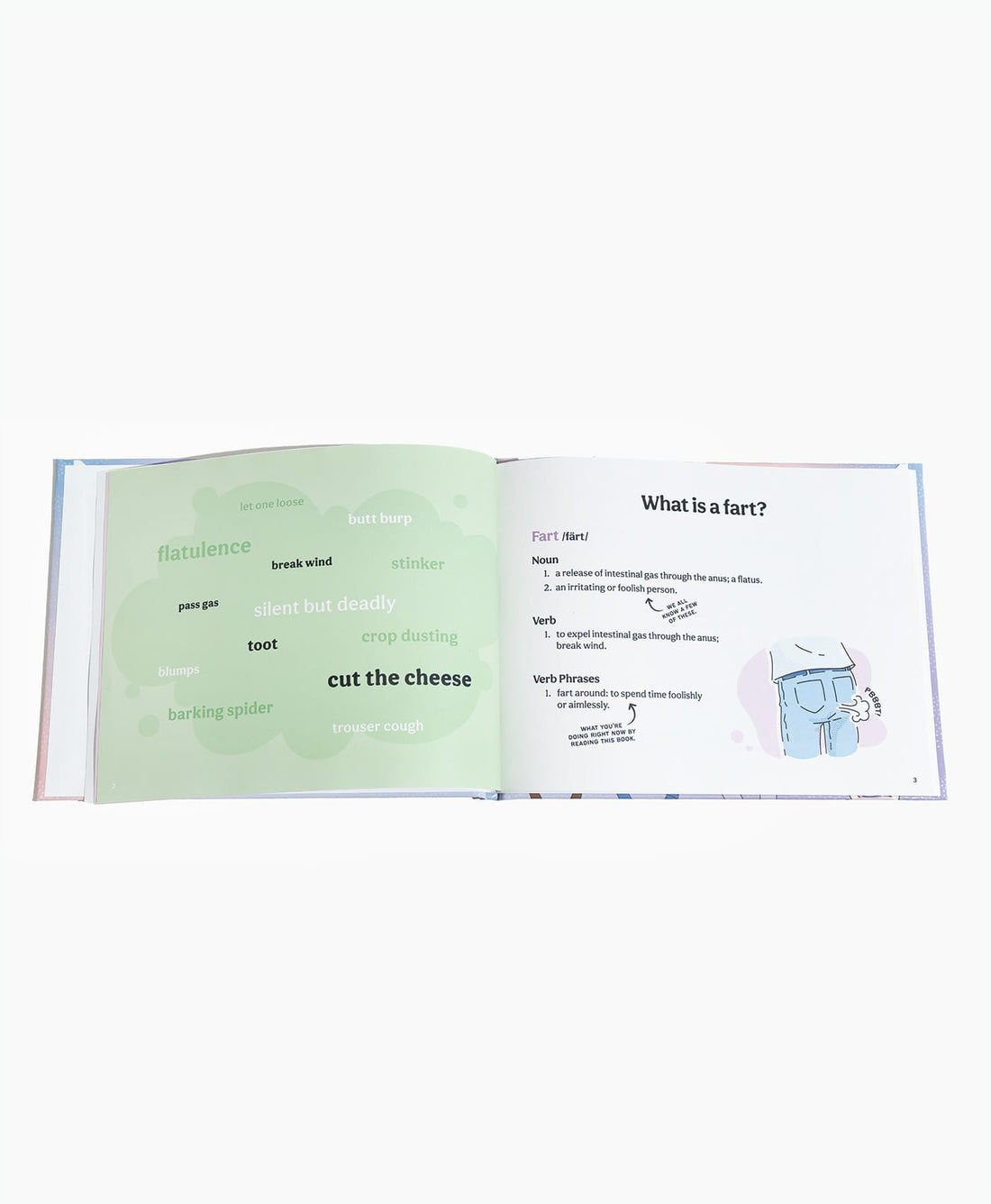 An Adult’s Guide To Farts – Wonderbelly